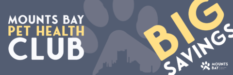 Pet Health Club | Mounts Bay Vets